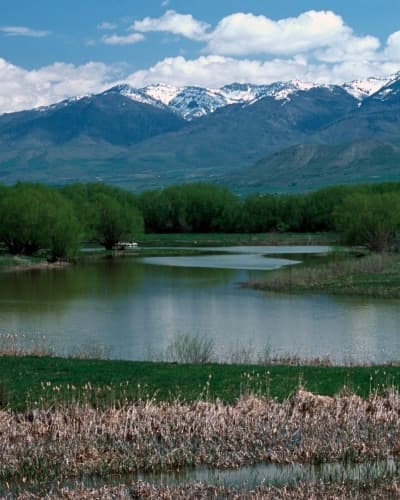 Bear River Watershed Council – Utah Division of Water Resources